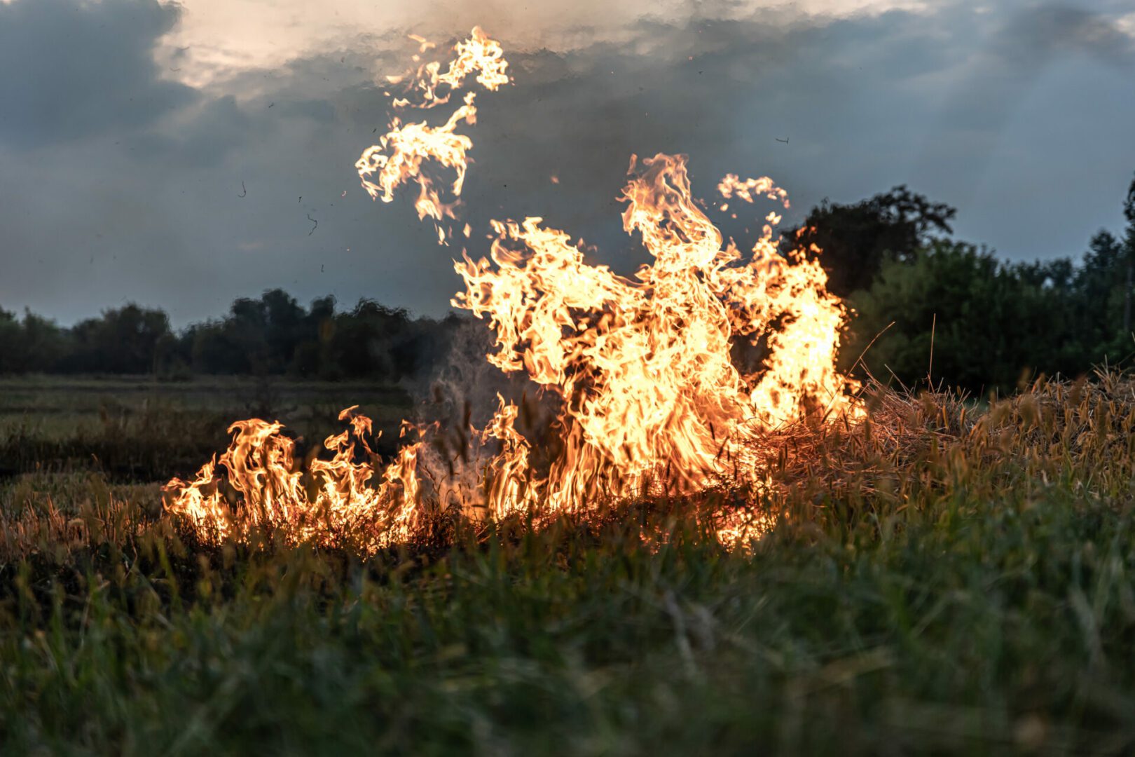 Fire Prevention Services in Newberg and West Linn OR - AOS Land Clearing